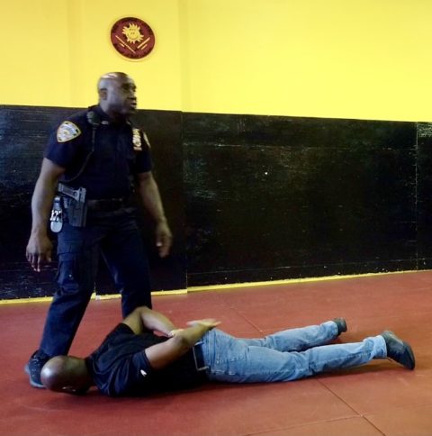 Introducing The Police Defensive Program - The Street Self Defense ...